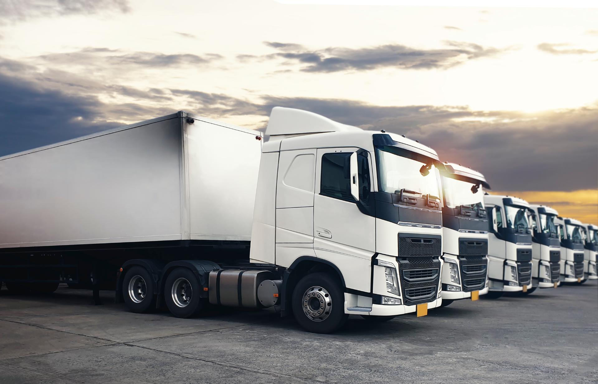 Expert Carte Chauffeur Poids Lourds à Paris - Lecture Matic